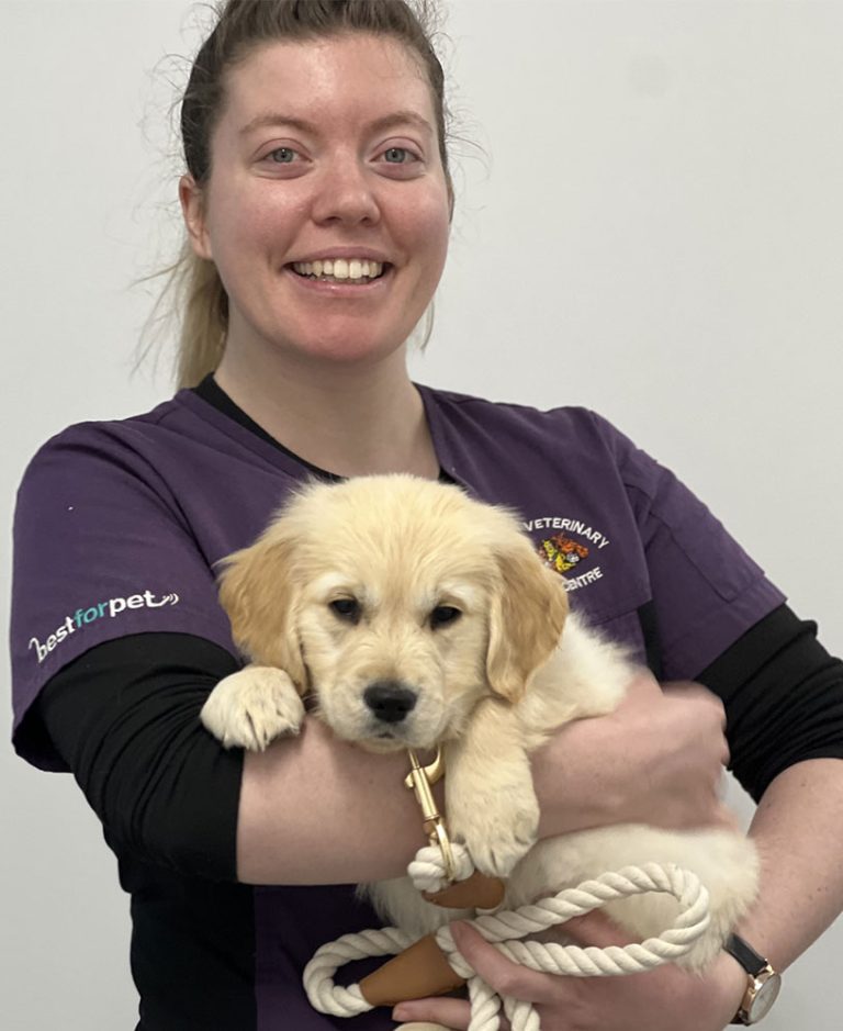 Dr Emily Beattie - Launceston Veterinary Hospital